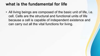 FUNDAMENTAL-SKILLS.pptx
