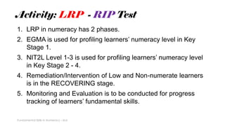 Fundamental-Skills-in-Numeracy.pdf