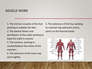 FUNDAMENTAL%20AND%20DERIVED%20POSITIONS.pptx