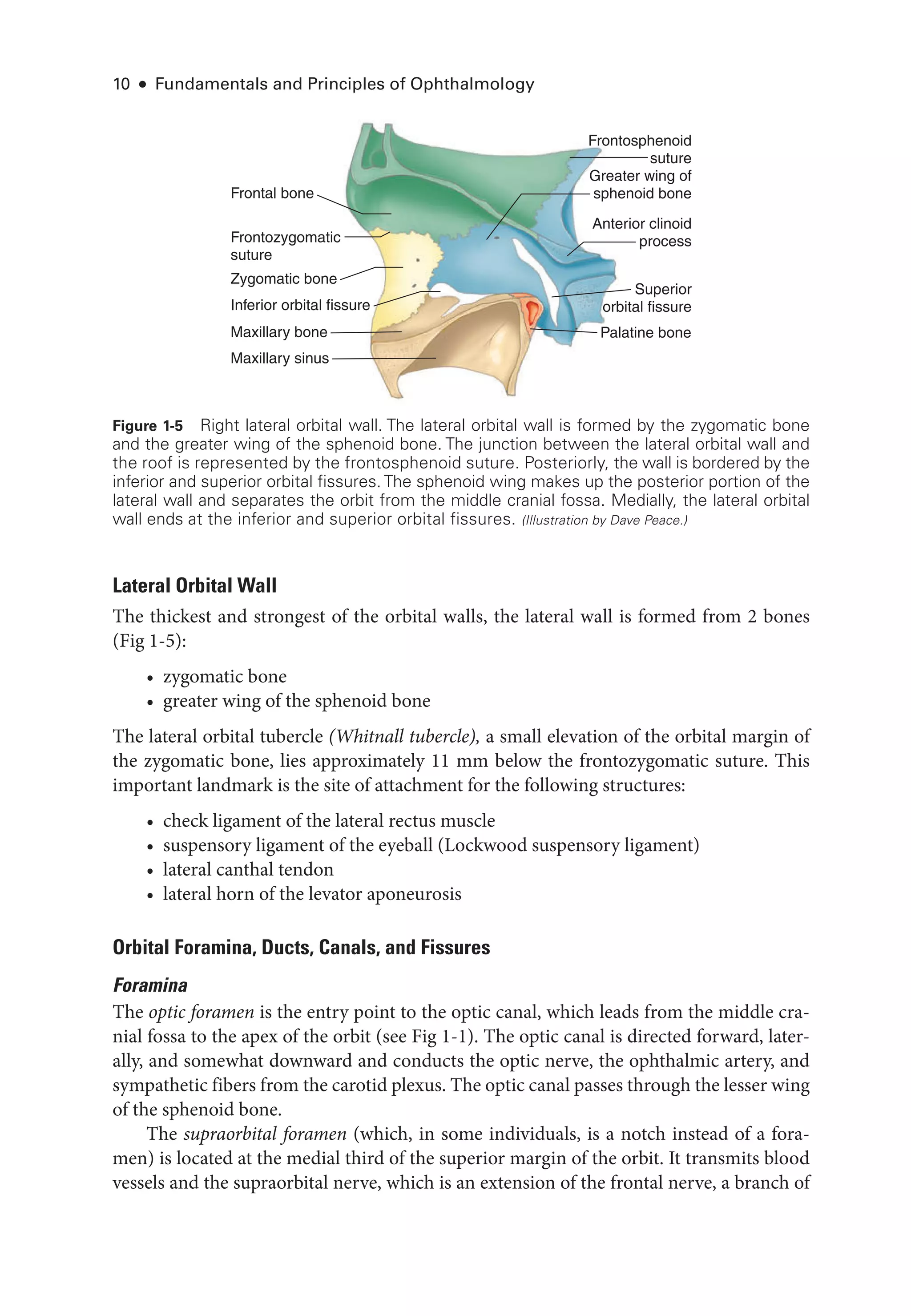 fundamental AAO .pdf