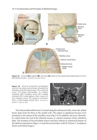 fundamental AAO .pdf