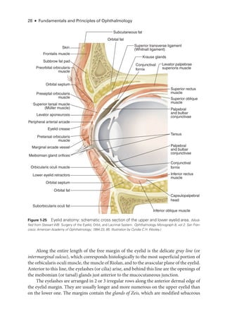 fundamental AAO .pdf