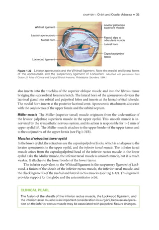 fundamental AAO .pdf