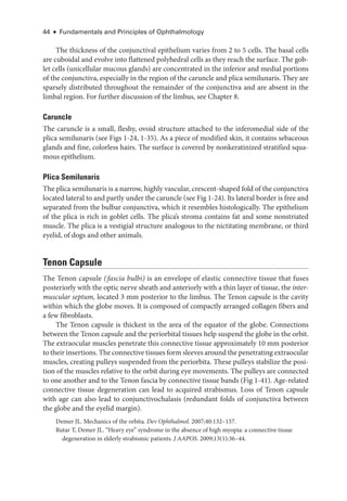 fundamental AAO .pdf