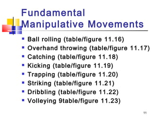 Fundamental activity | PPT