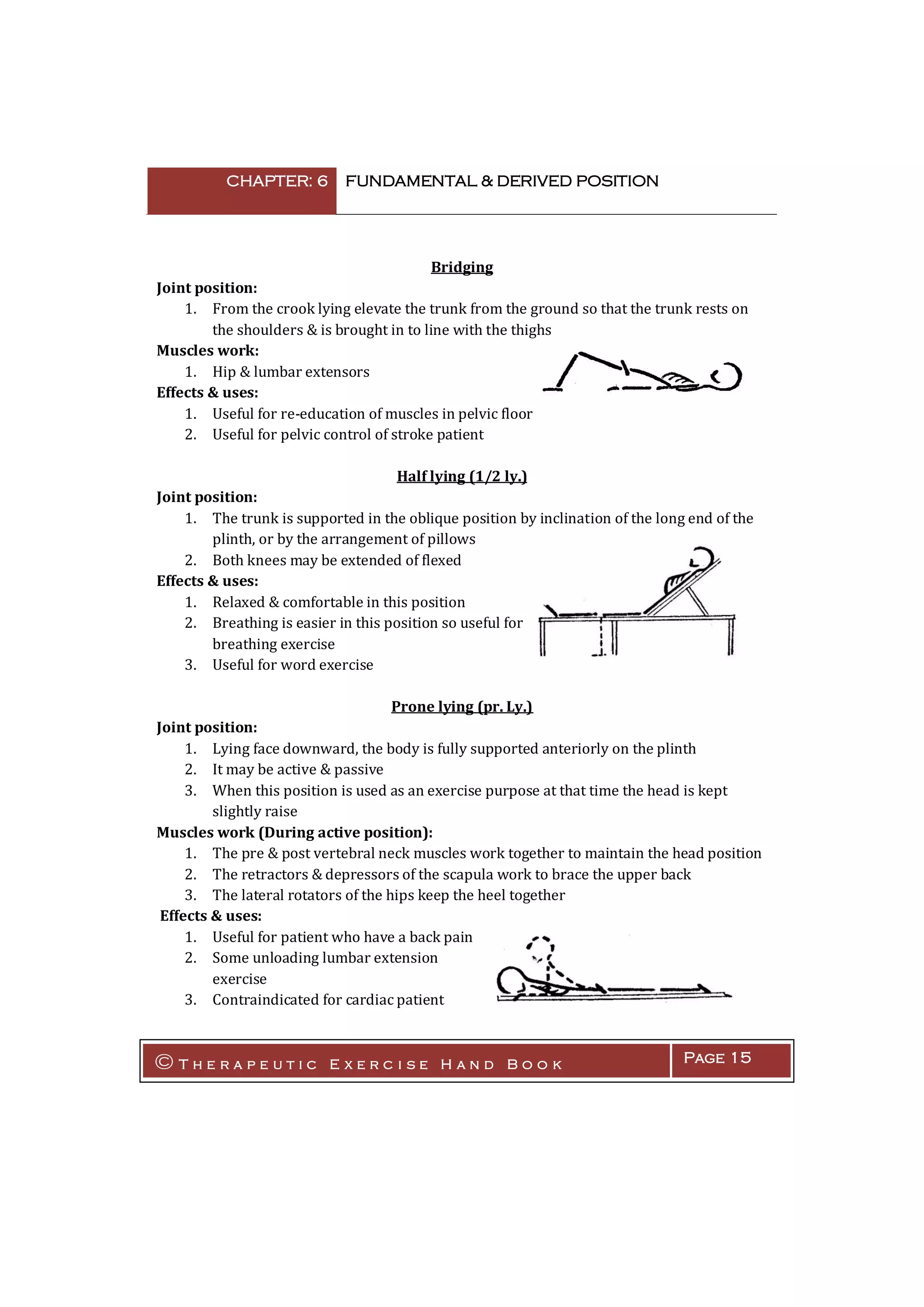 Fundamental and derived position | PDF