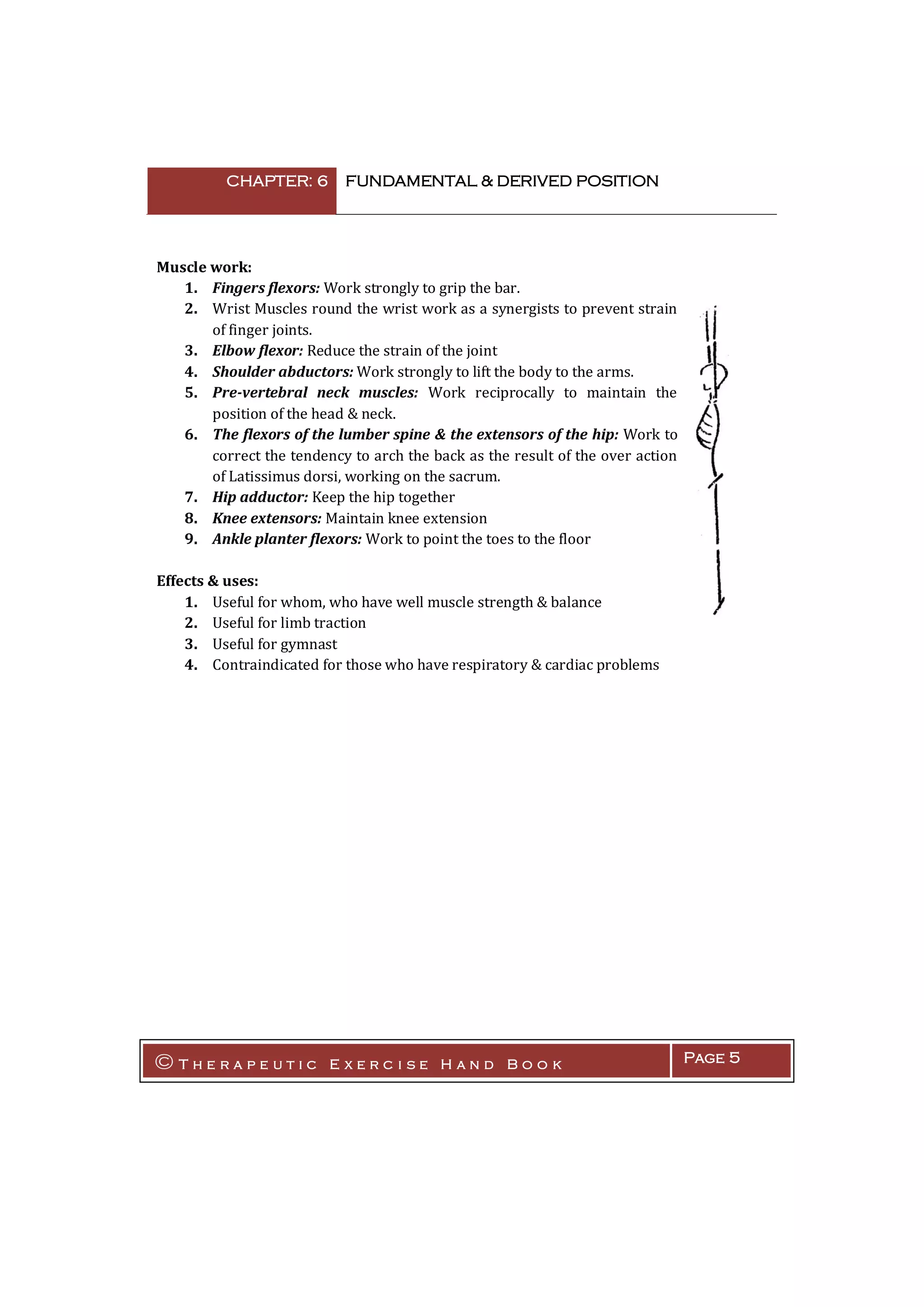 Fundamental and derived position | PDF