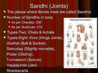Fundamental concept of anatomy physiology ircs course 1.03.11