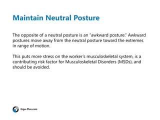 Fundamental Principles of Ergonomics | PPTX