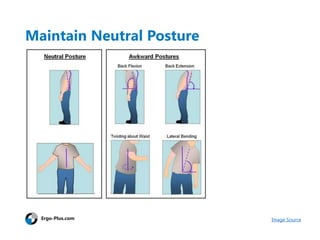 Fundamental Principles of Ergonomics | PPTX