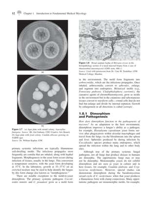 Fundamental medical mycology | PDF