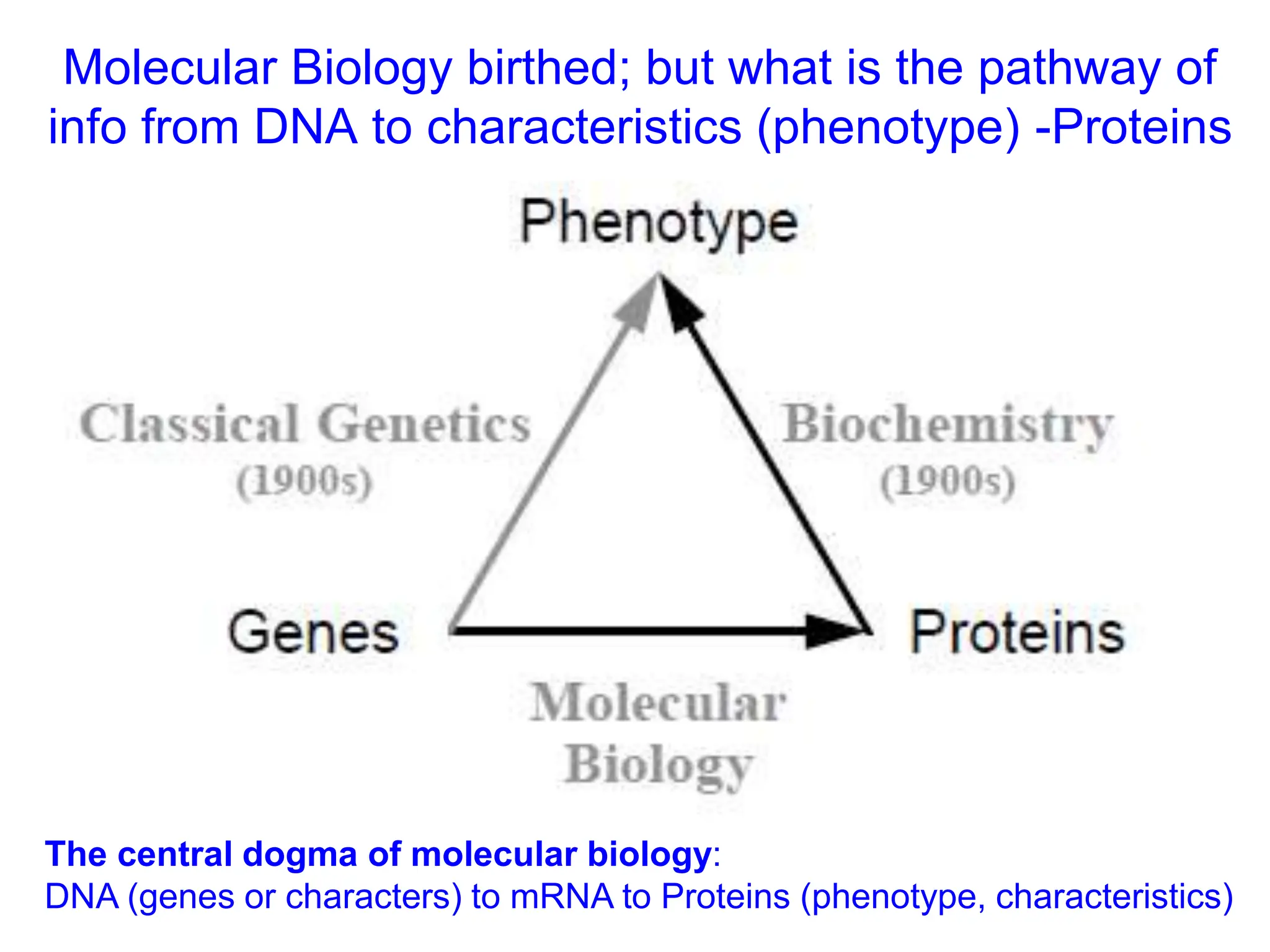 Fundamental_molecular_biology and genetics.pptx