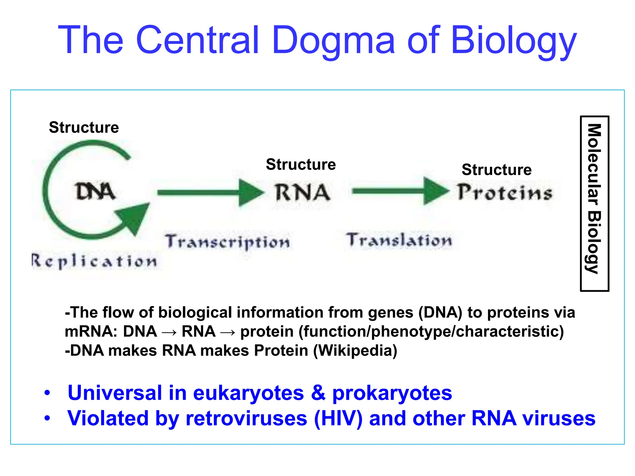Fundamental_molecular_biology and genetics.pptx
