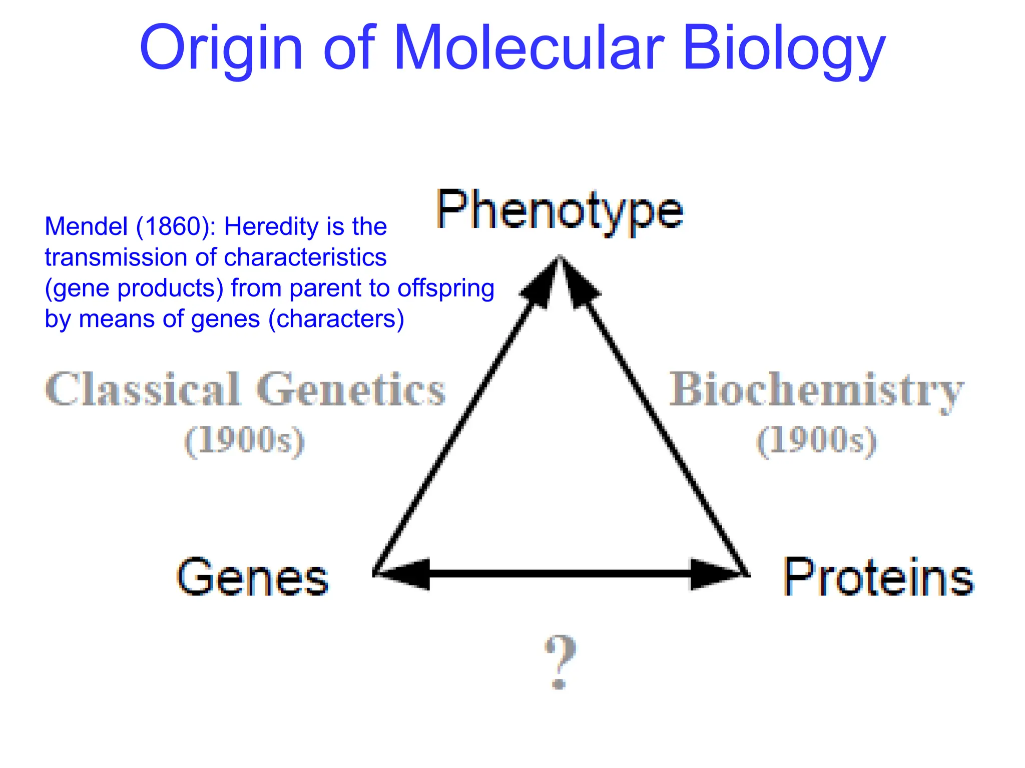 Fundamental_molecular_biology and genetics.pptx