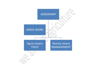 fundamental of agronomy.docx