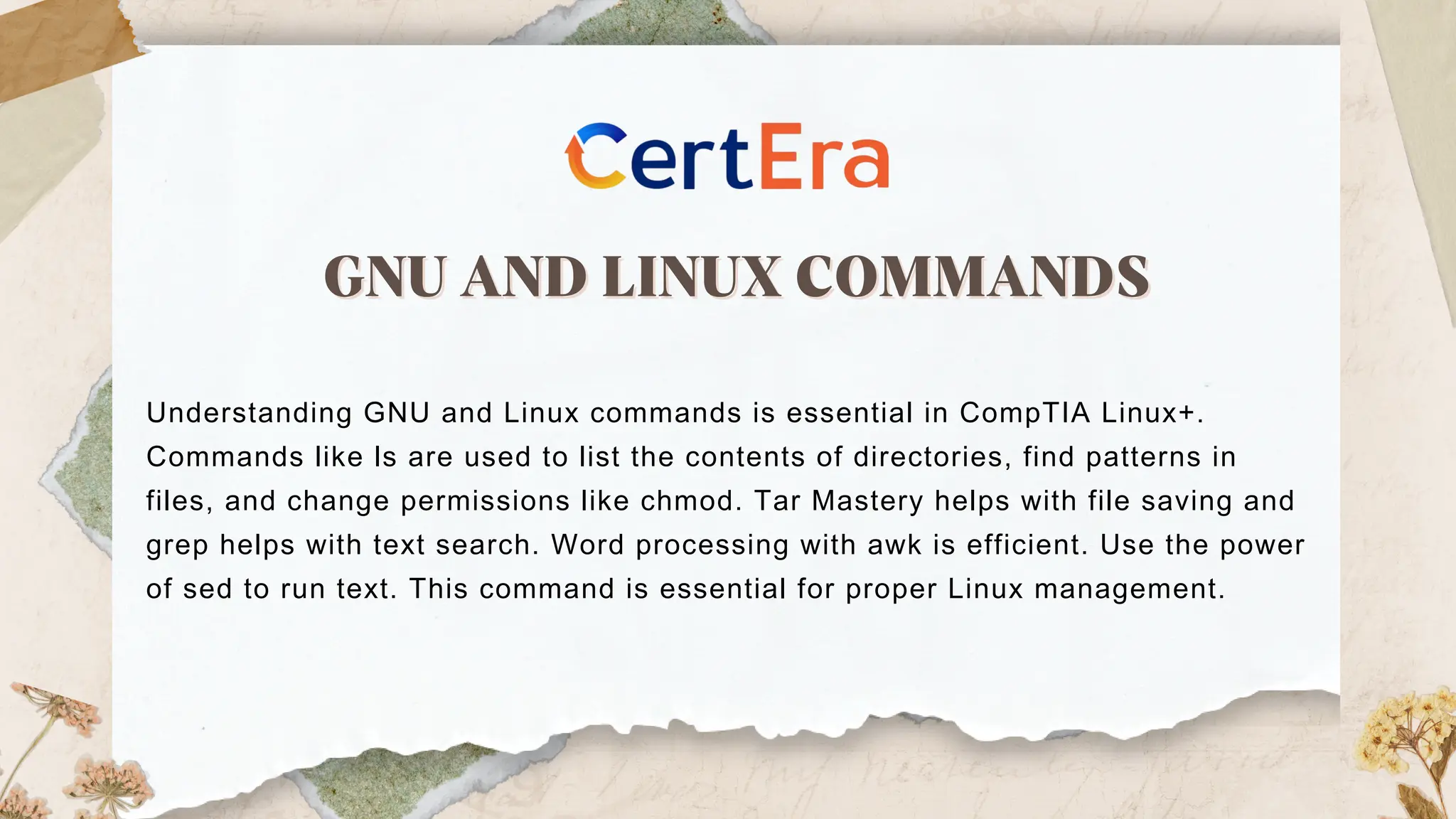 fundamental of Comptia Linux+ and what is Comptia linux+ | PDF | Operating Systems | Computer ...
