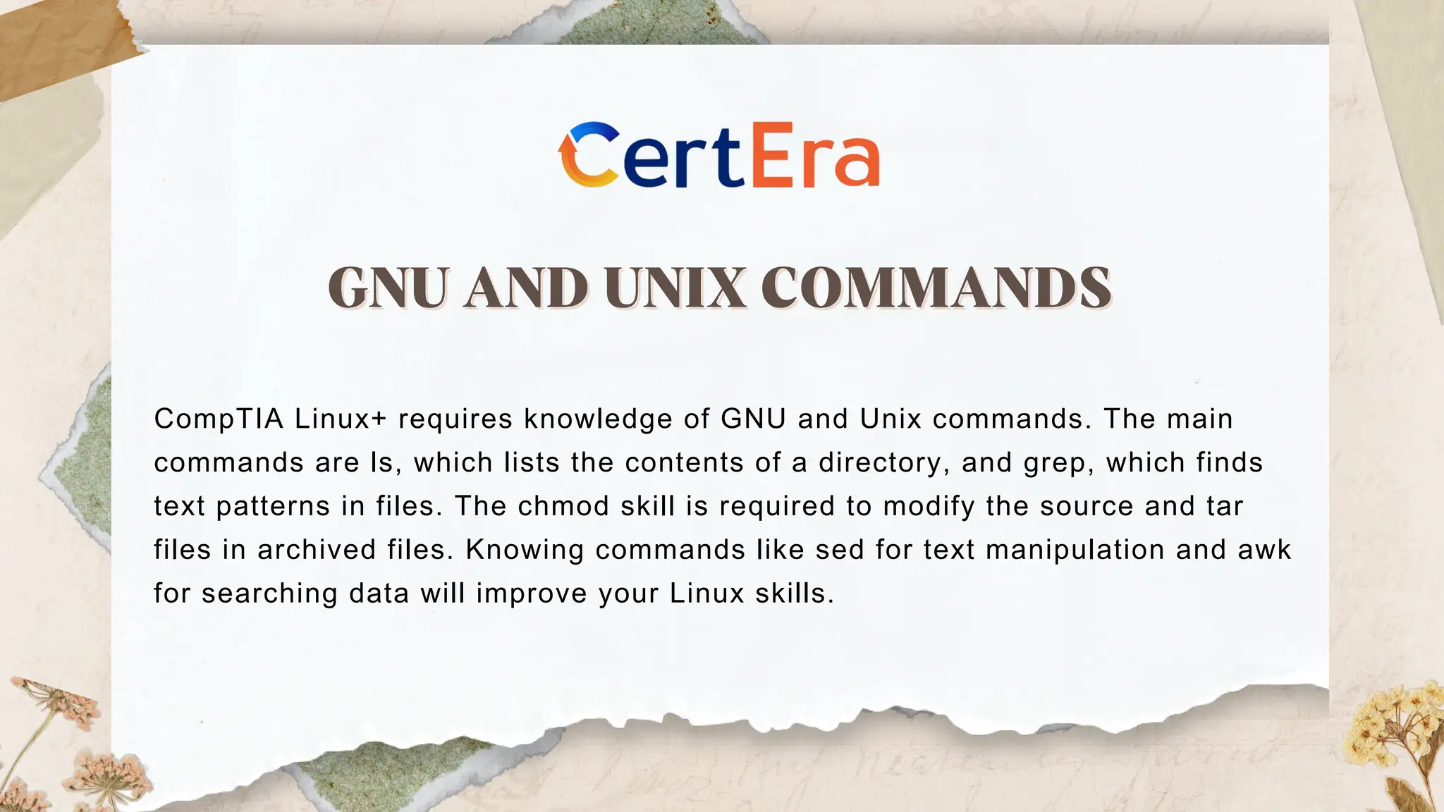 fundamental of Comptia Linux+ and what is Comptia linux+ | PDF | Operating Systems | Computer ...