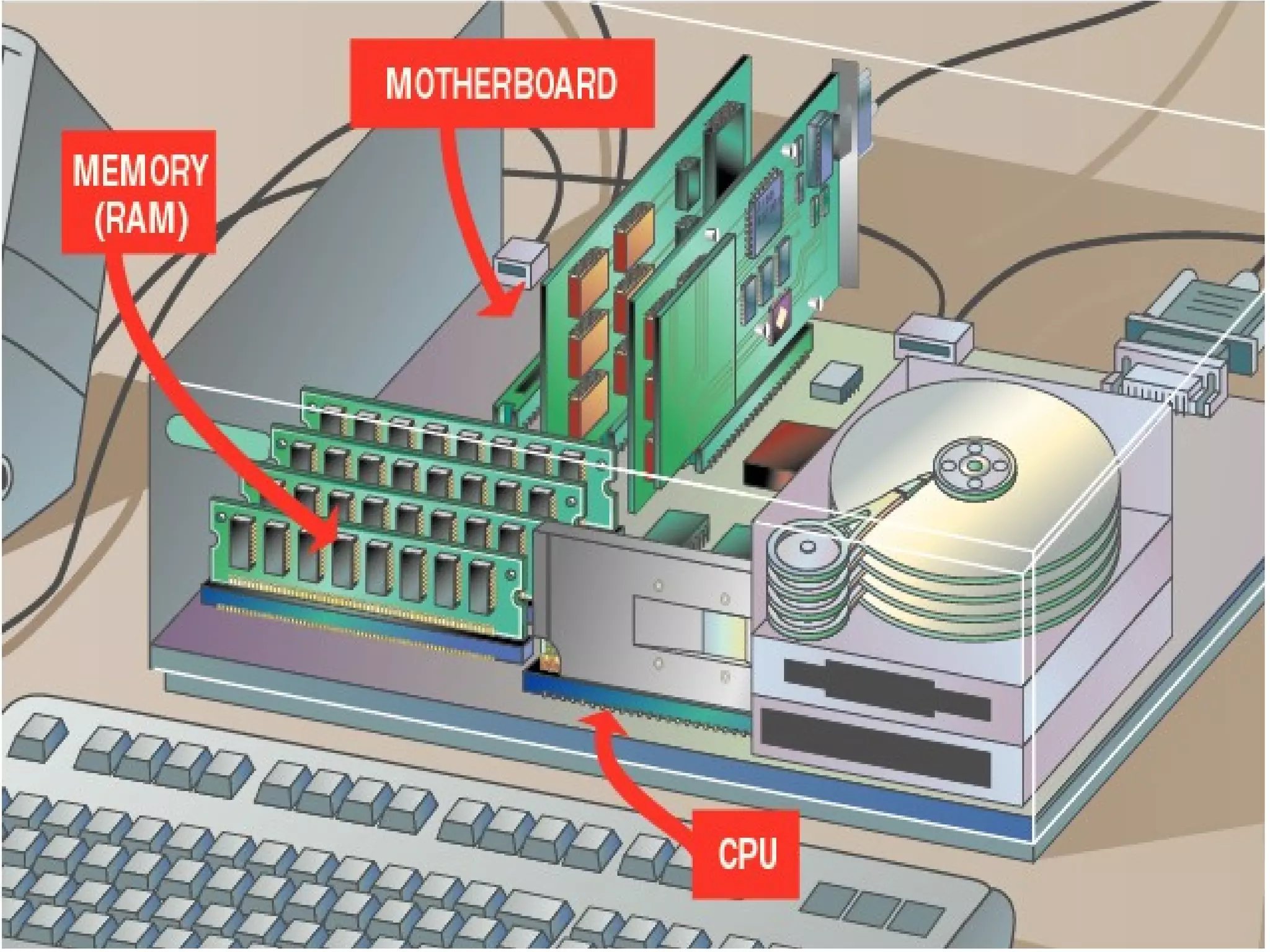 Fundamental of Computers | PPT
