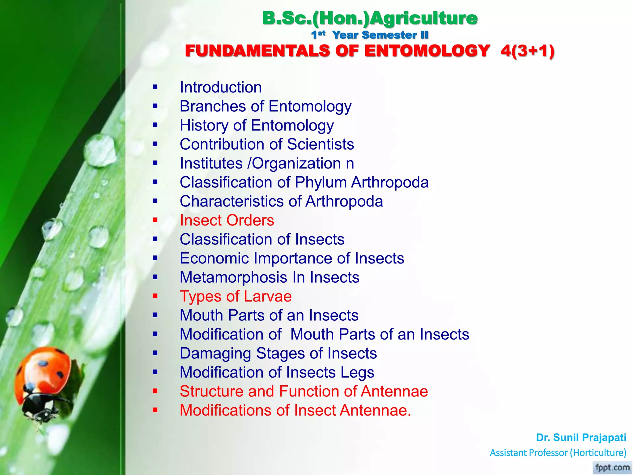 Fundamental of entomology Dr.Sunil Prajapati | PPTX