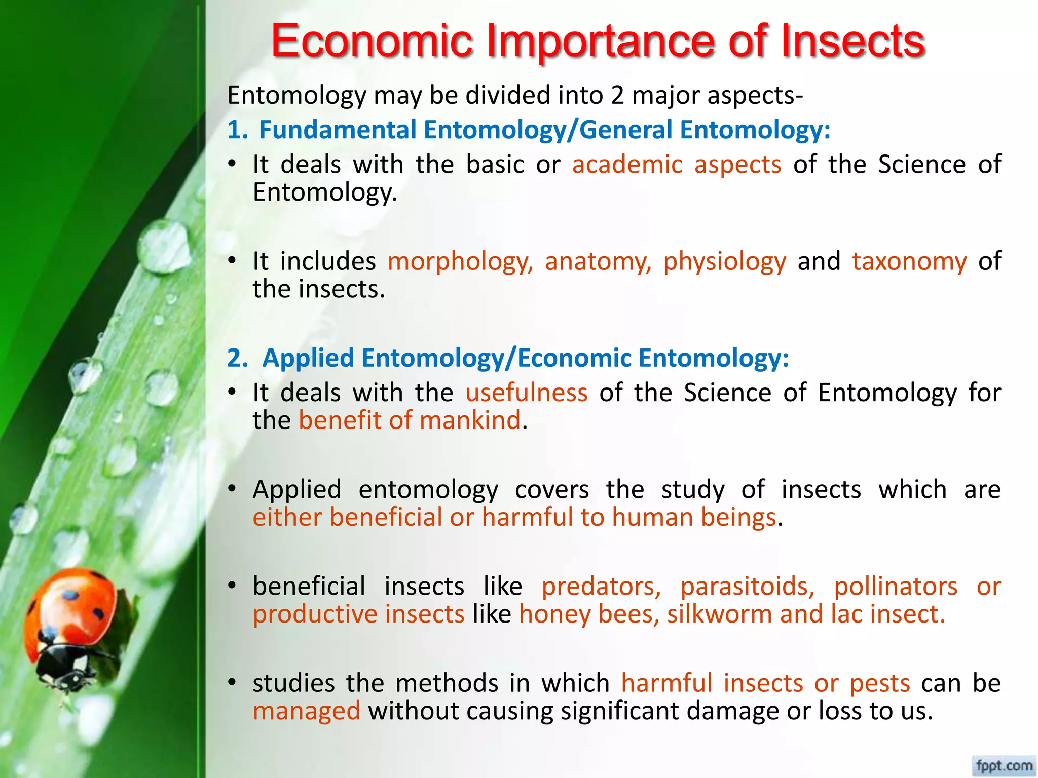 Fundamental of entomology Dr.Sunil Prajapati | PPTX