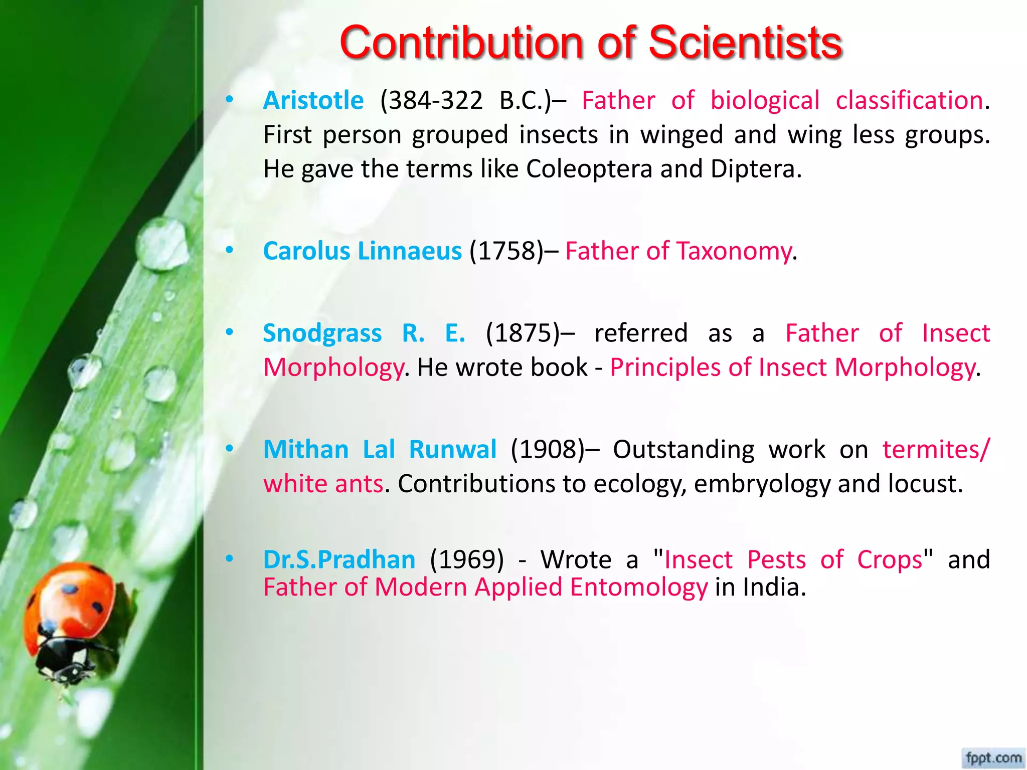 Fundamental of entomology Dr.Sunil Prajapati | PPTX