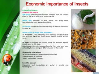 Fundamental of entomology Dr.Sunil Prajapati | PPTX