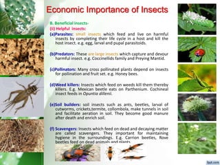 Fundamental of entomology Dr.Sunil Prajapati | PPTX