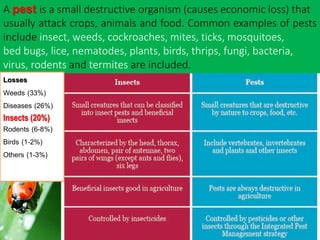 Fundamental of entomology Dr.Sunil Prajapati | PPTX