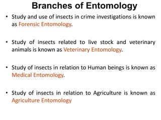 FUNDAMENTAL OF ENTOMOLOGY notes for b sc agriculture | PPTX