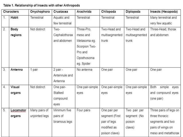 basic entomology with insect anatomy and taxonomy | PPTX