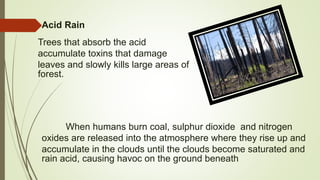 Man Environmental Interaction | PPTX