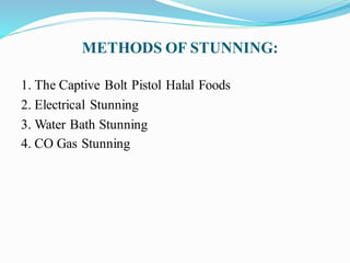 Stunning in Islamic Perspective | PPT