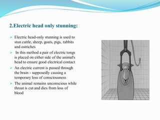 Stunning in Islamic Perspective | PPT