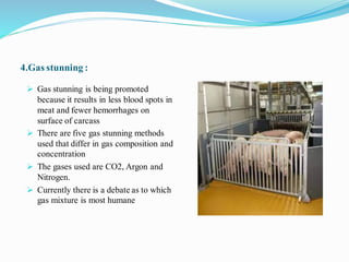 Stunning in Islamic Perspective | PPT