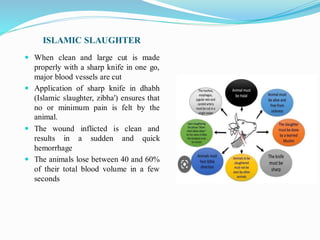 Stunning in Islamic Perspective | PDF