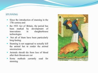 Stunning in Islamic Perspective | PDF