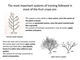 Fundamental of horticulture | PDF
