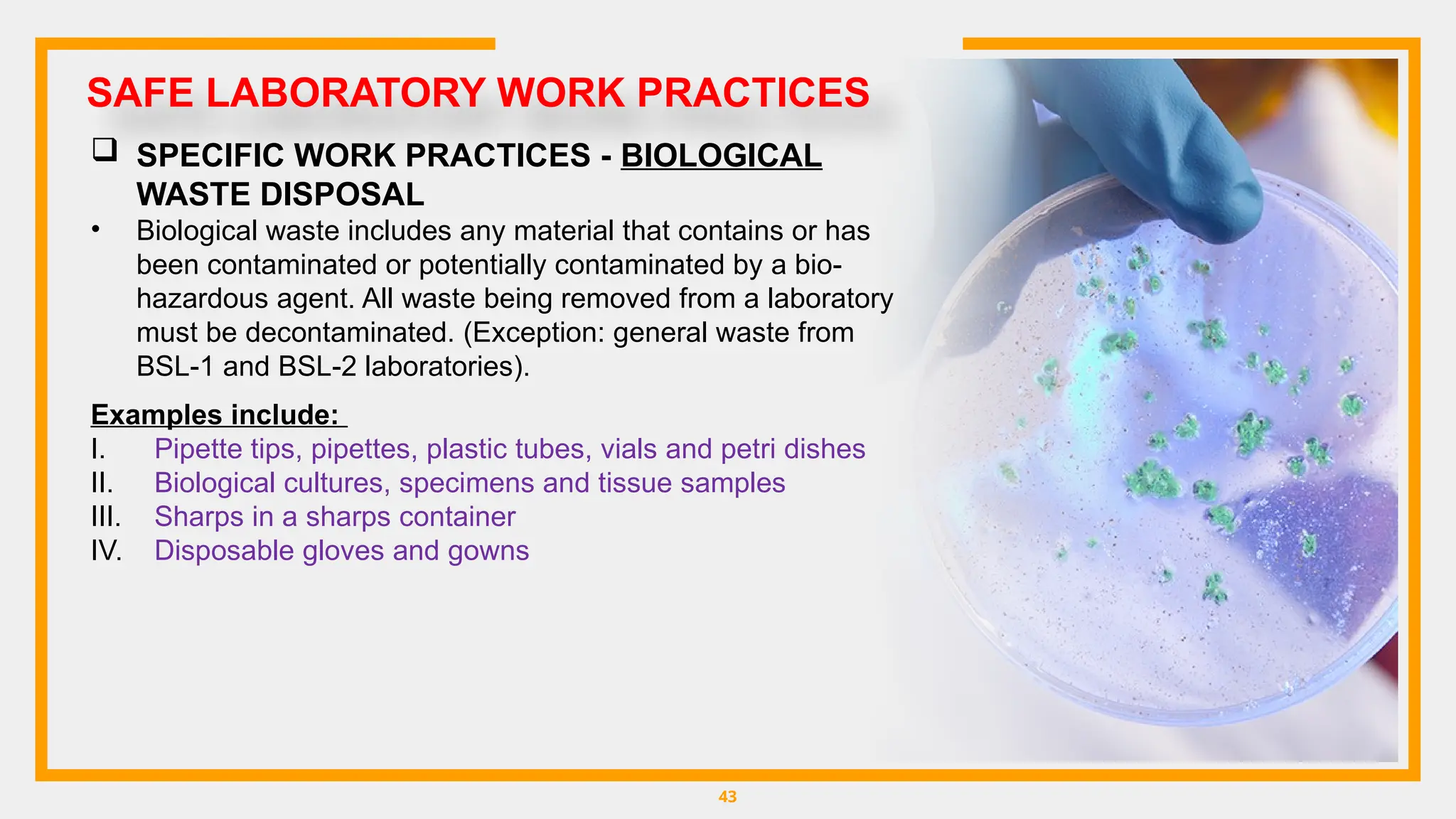 Fundamental of Laboratory Safety in lab | PPTX
