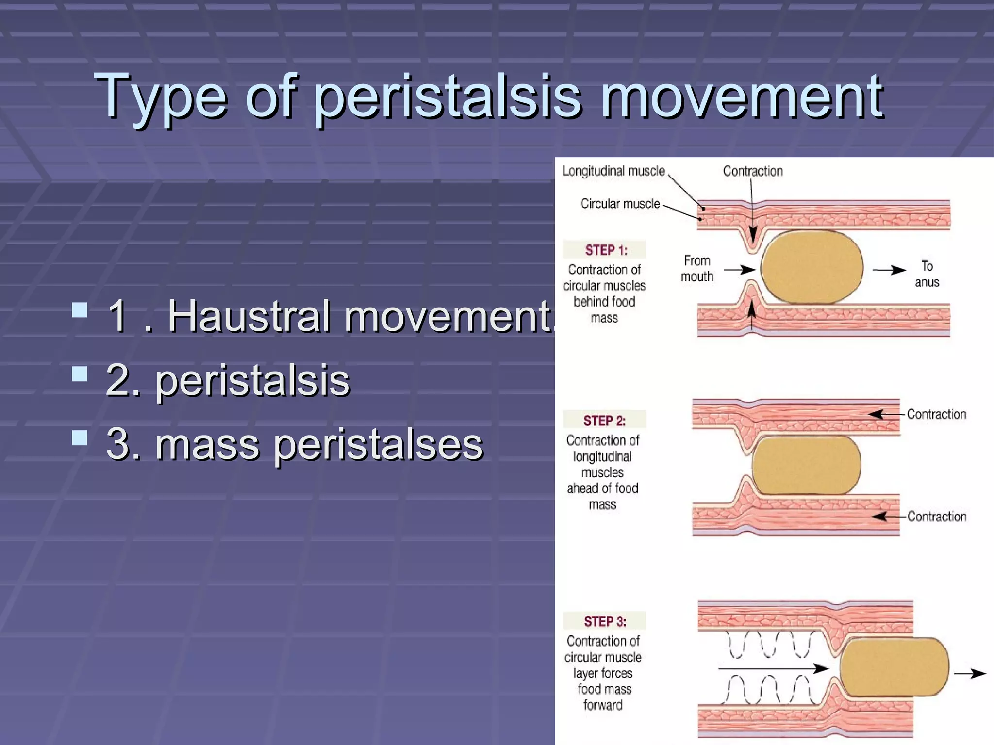 Fundamental of nursing | PPT