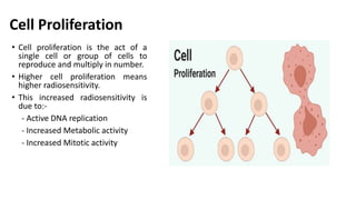 Fundamental of Radiobiology -SABBU.pptx