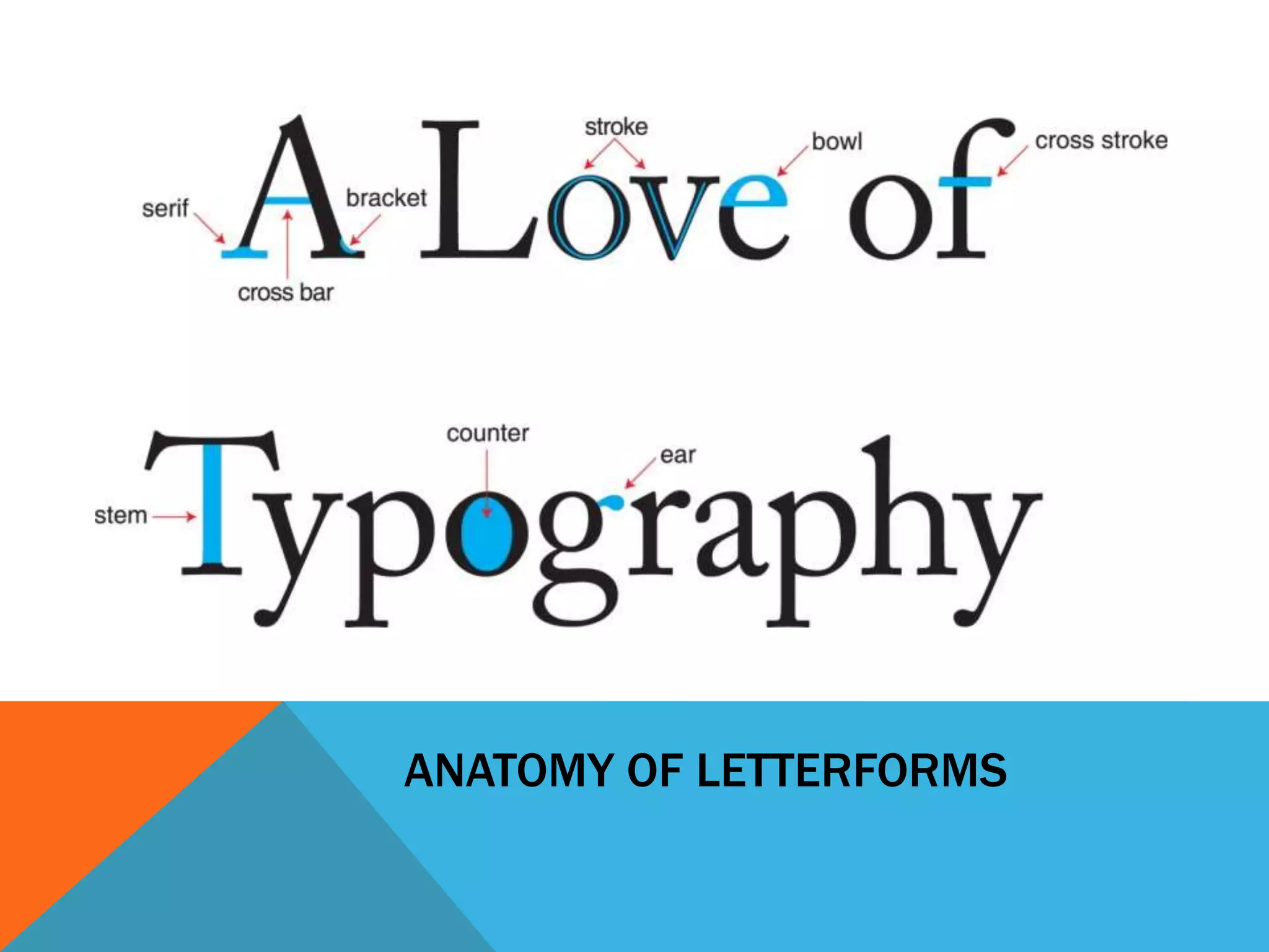 Fundamental of typography | PPTX