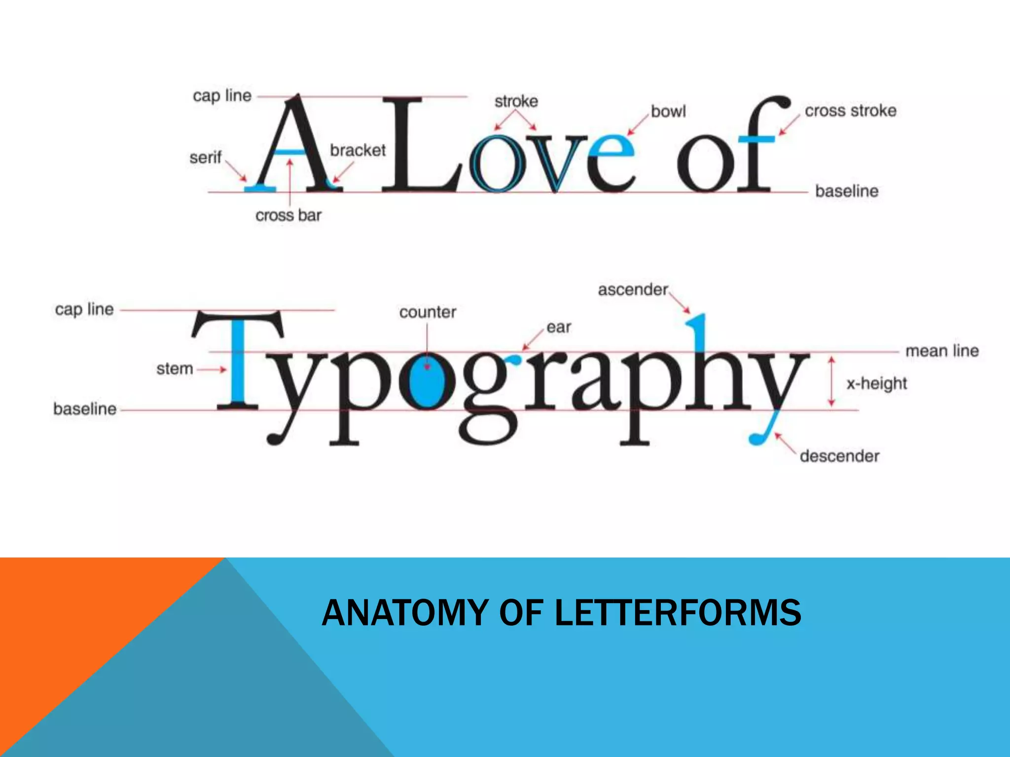 Fundamental of typography | PPTX