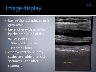 Fundamental Physics and Safety Implications.pptx