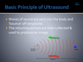 Fundamental Physics and Safety Implications.pptx