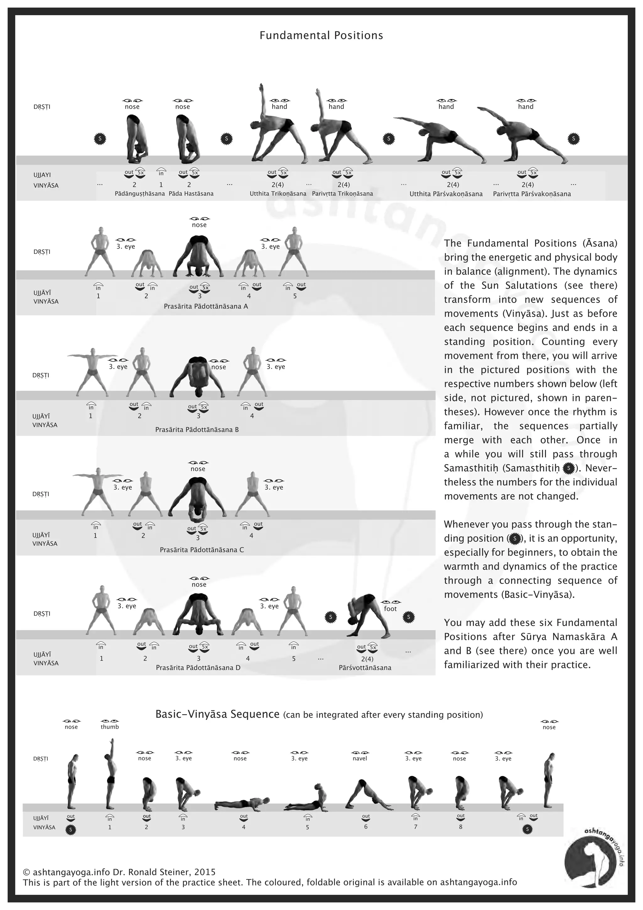 Fundamental positions en | PDF