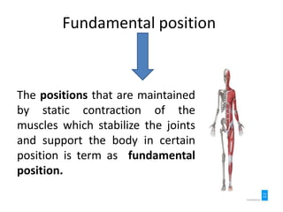 Fundamental positions and their derived positions | PPT