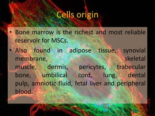 Fundamental of mesenchymal stem cells as a promising candidate in ...