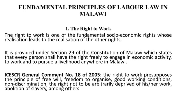 FUNDAMENTAL PRINCIPLES OF LABOUR LAW.pptx