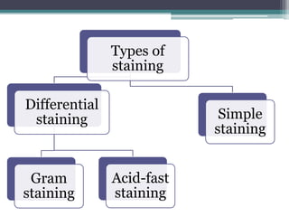 Fundamental principles of microbiology | PPTX