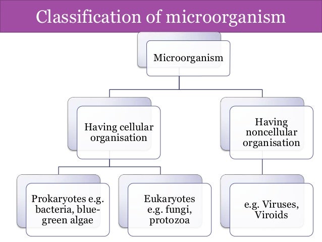 Fundamental principles of microbiology